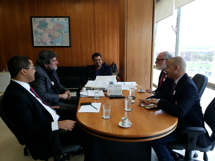 Representantes Da Anfes Discutem Pautas Da Saúde Em Brasília Fhgv